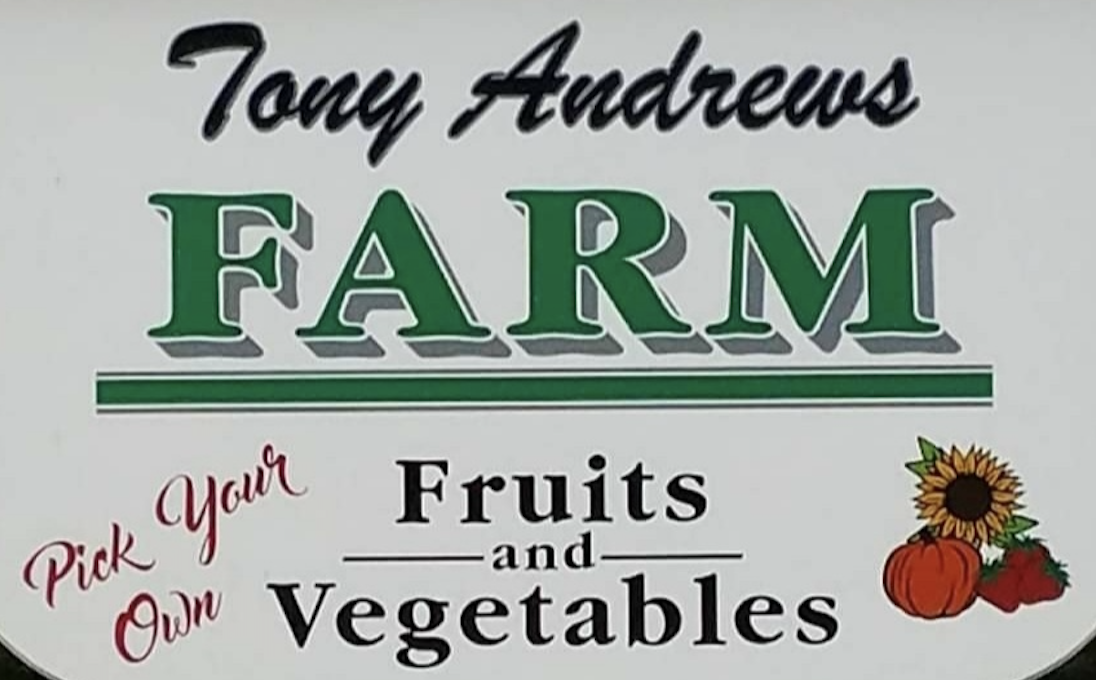 Tony Andrews Farm | Home