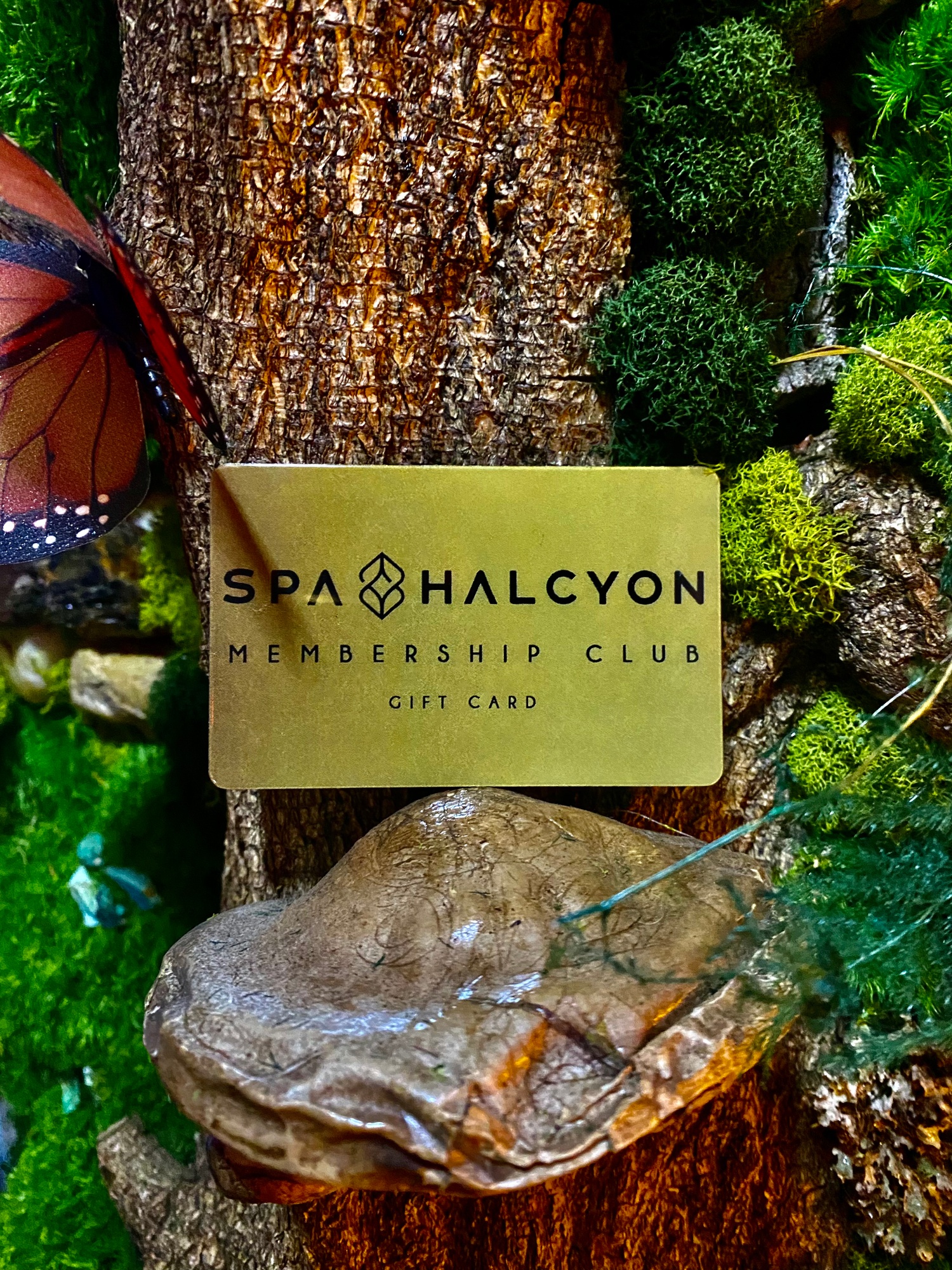 Spa Halcyon offers exceptional bodywork for all, women and men included ...