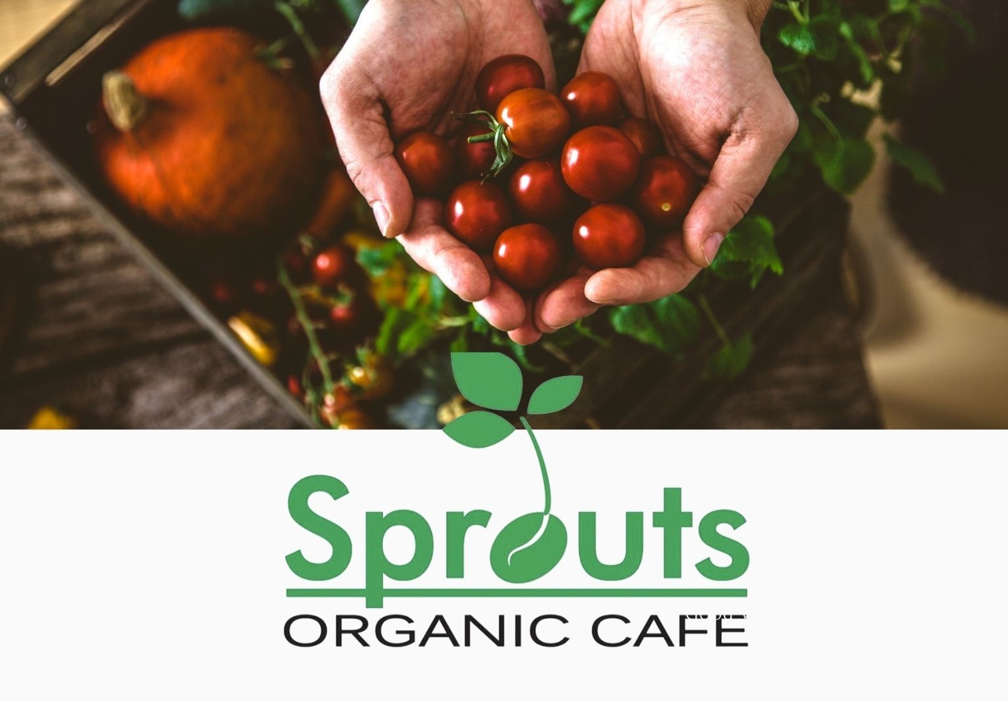 Sprouts Organic Cafe LLC | Home